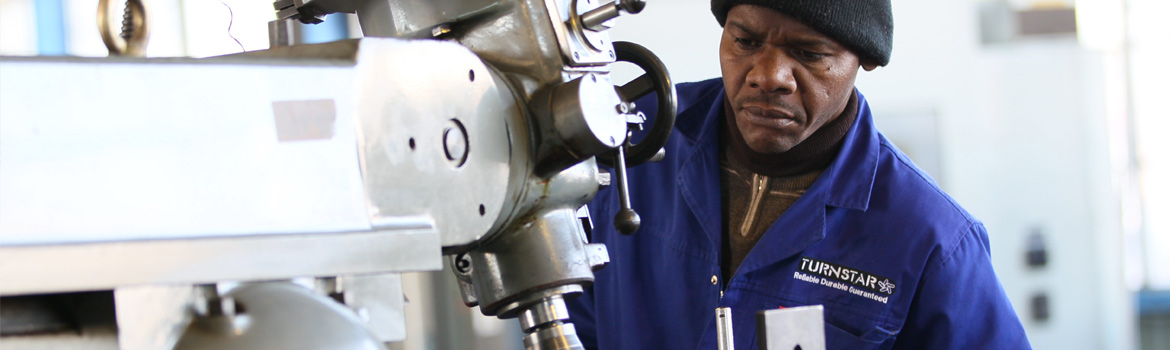 Security Gates Turnstar