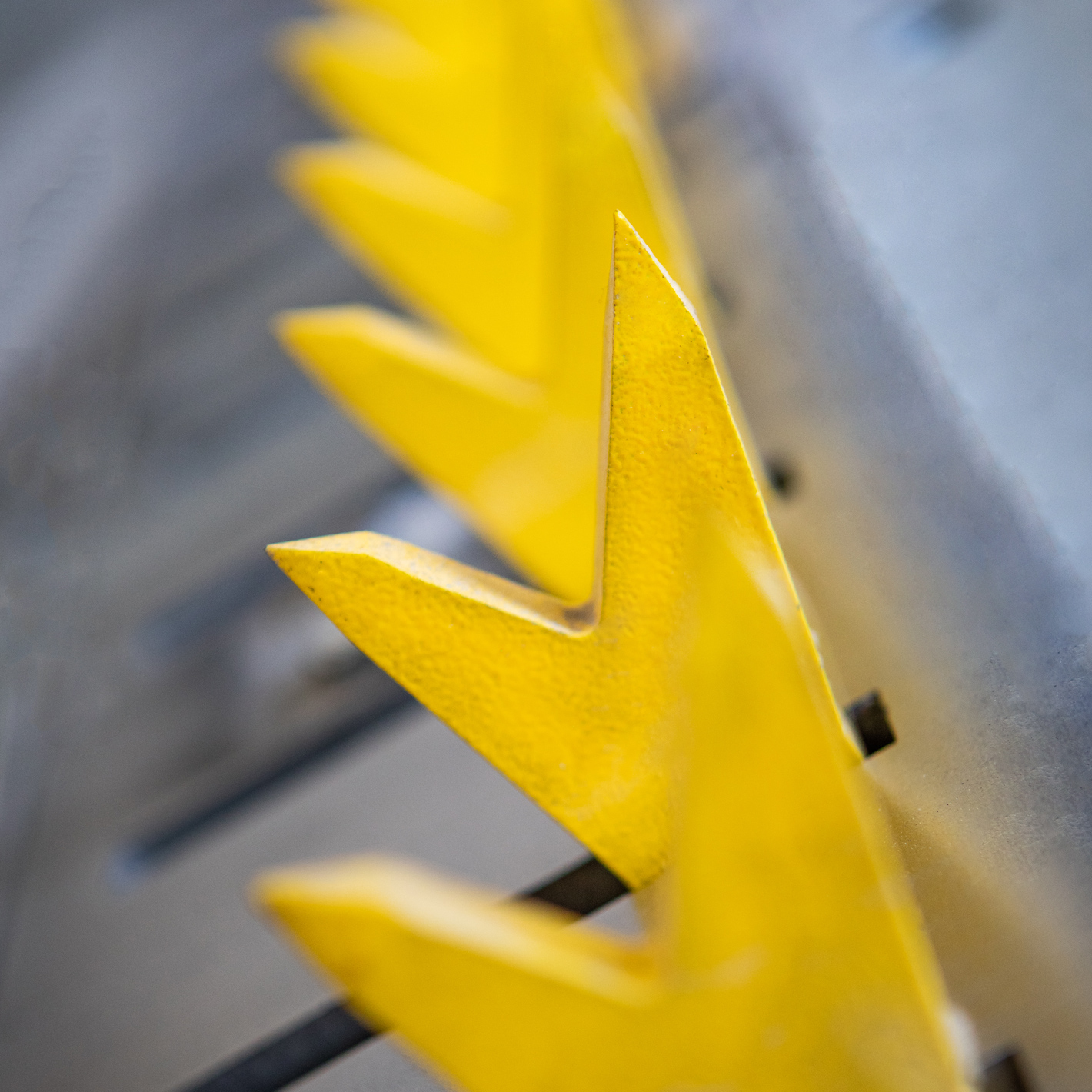 Velocity Raptor - Turnstar