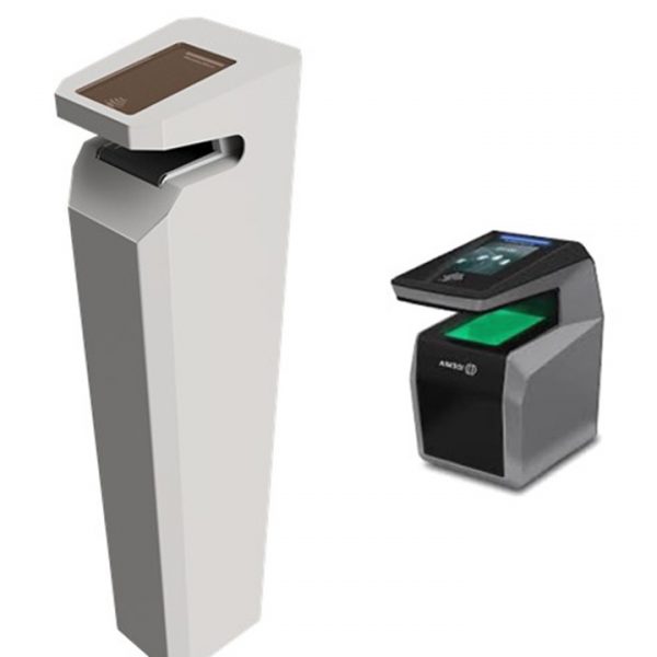 Morpho Wave Pedestal - Turnstar